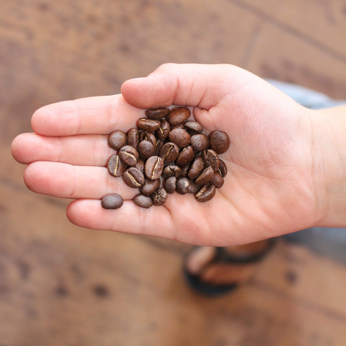 NRG Coffee Company - Flagstaff Crafted